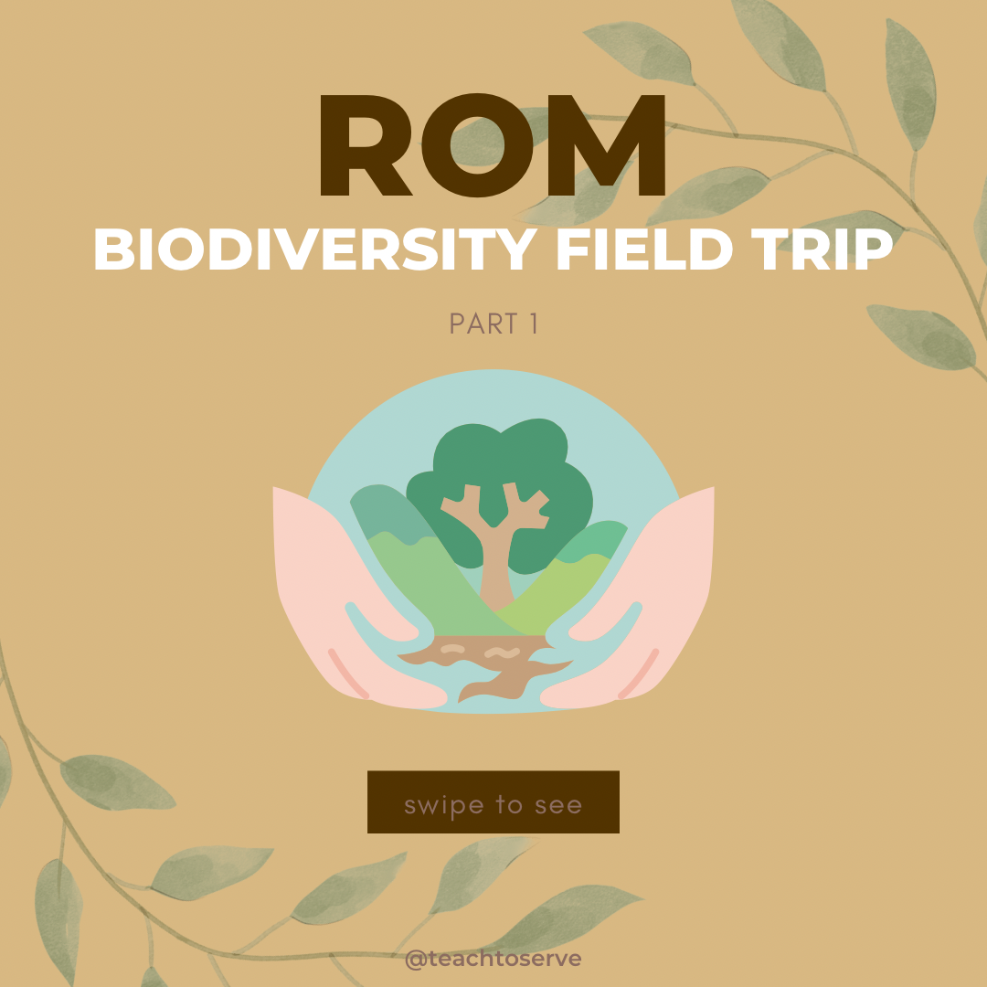 Why field trips? – Teach to Serve