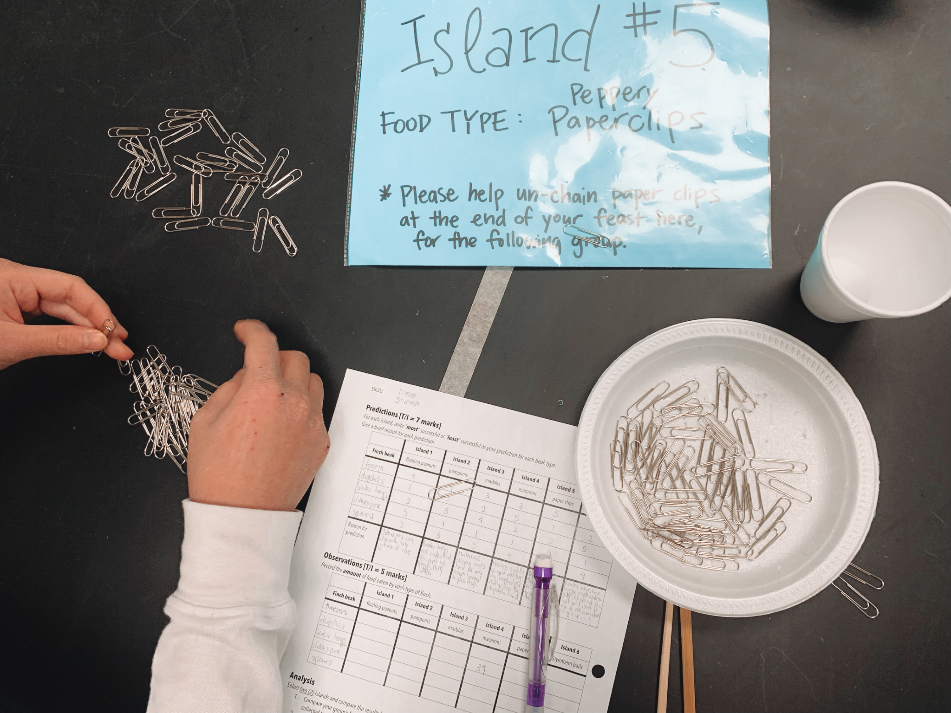 Natural Selection Lab Activity – Teach to Serve