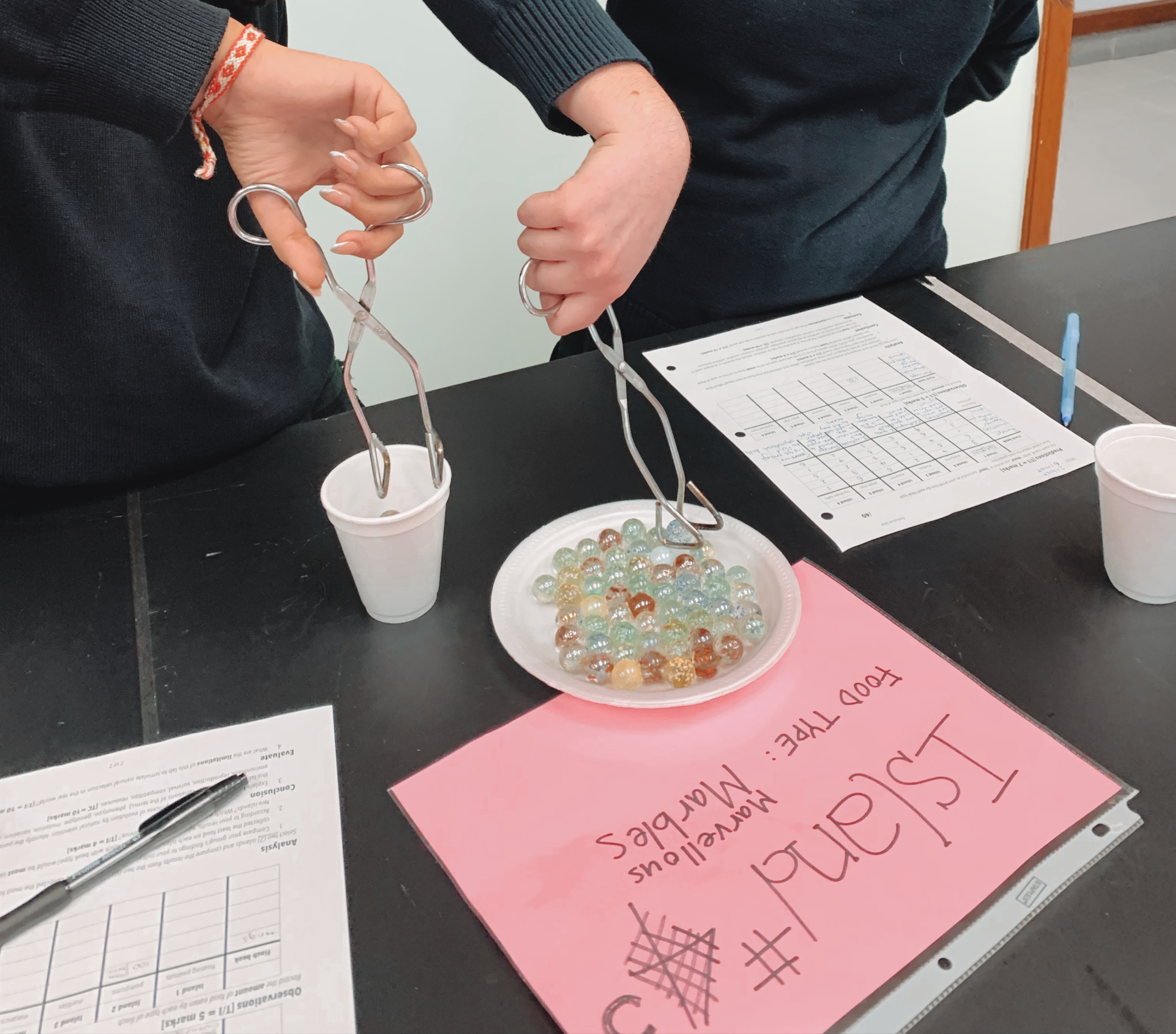Natural Selection Lab Activity – Teach to Serve