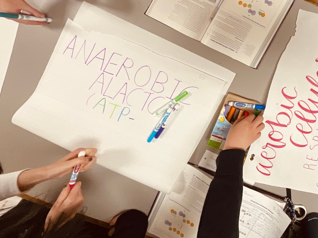 Using Anchor Chart in High School Classroom – Teach to Serve