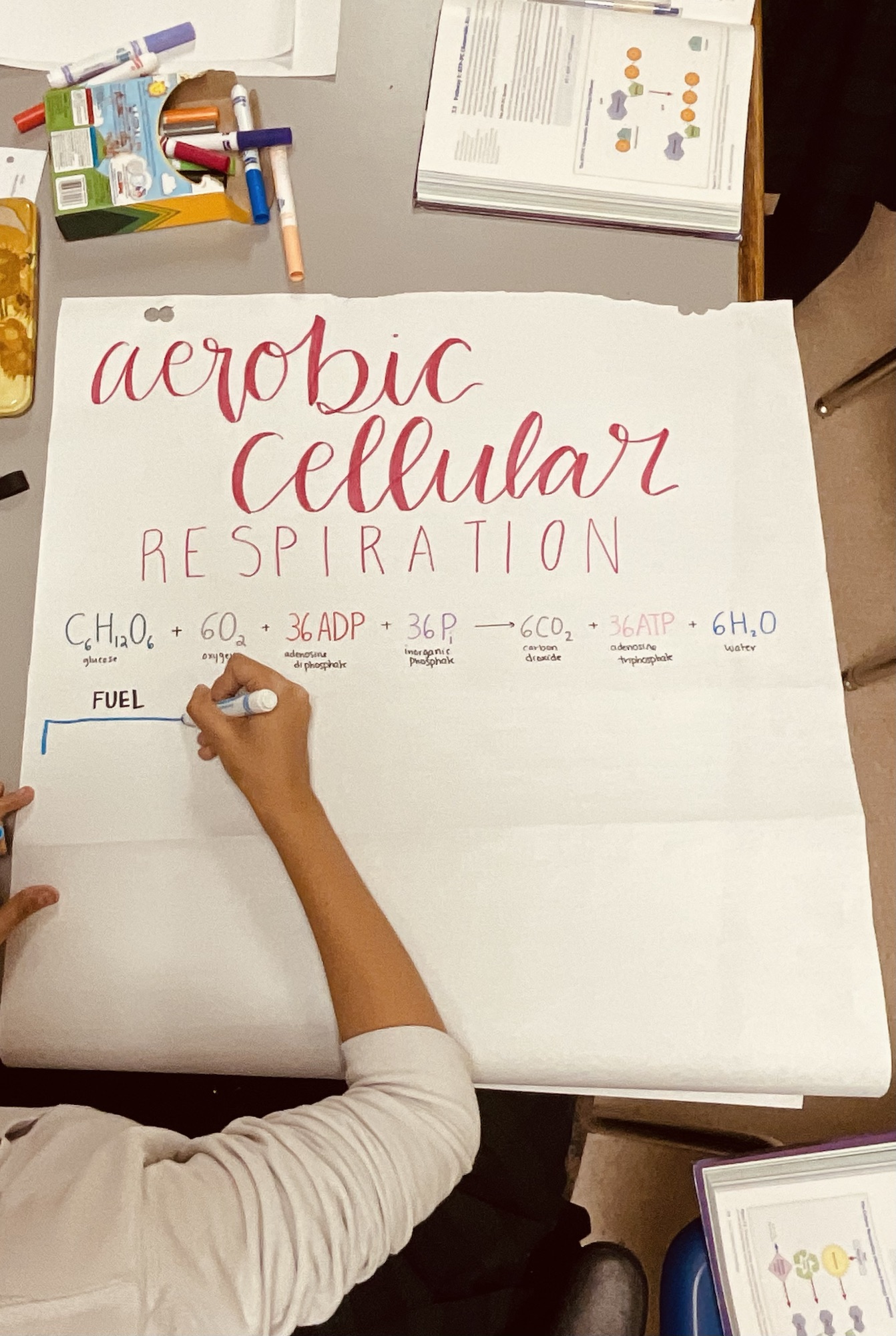 Using Anchor Chart in High School Classroom – Teach to Serve
