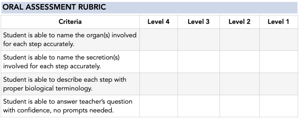 Digestive System Lab Activity – Teach to Serve