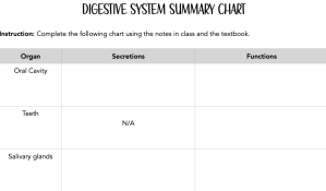 Digestive System Lab Activity – Teach to Serve