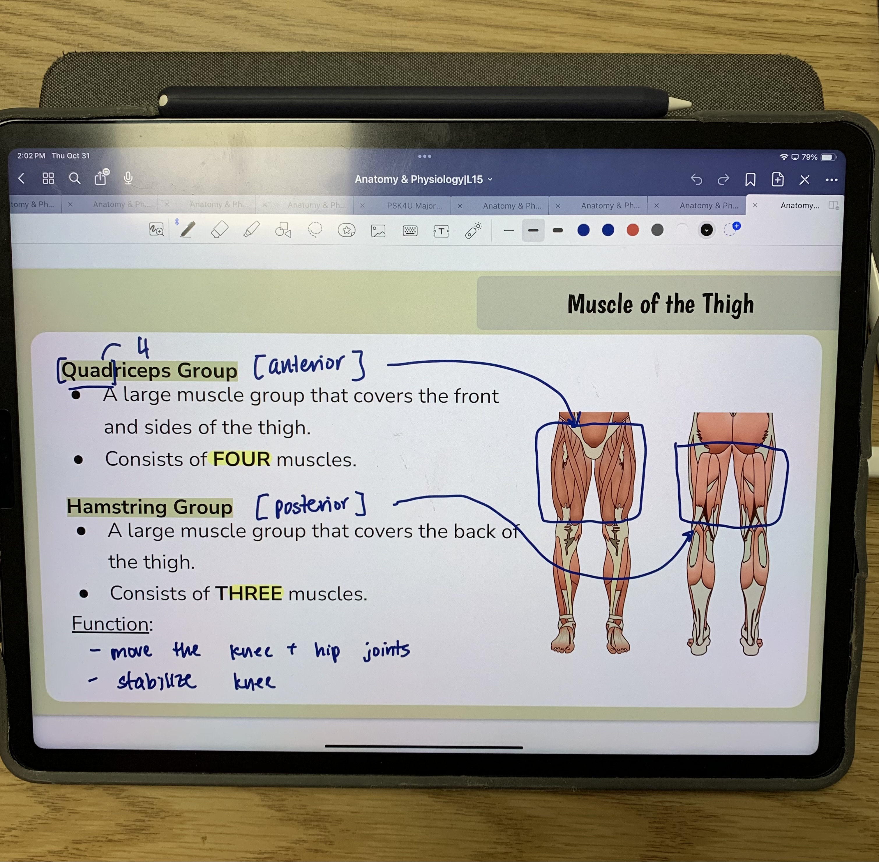 Why is annotation such an effective teaching strategy? – Teach to Serve
