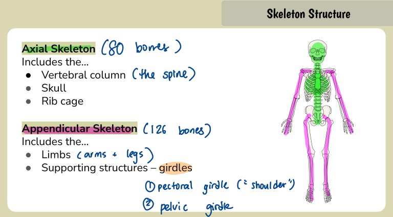 5 Practical Tips on Using Annotation in Your Lessons – Teach to Serve