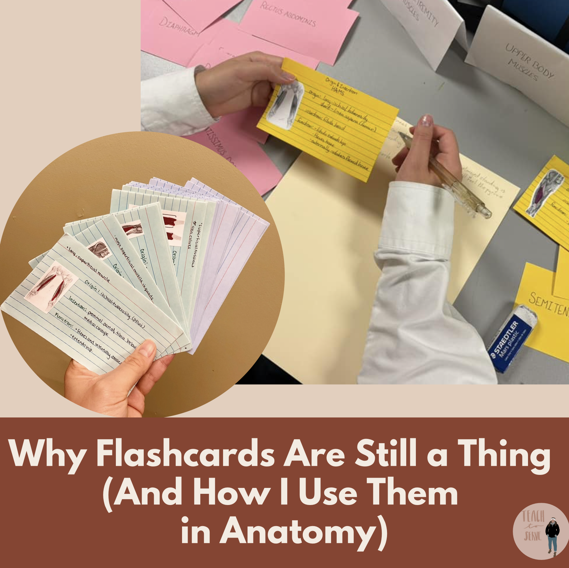 Why Flashcards Are Still a Thing (And How I Use Them in Anatomy ...